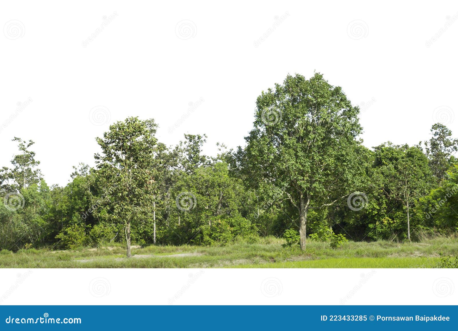 Trees Line The Horizon On The Inland Waterway Royalty-Free Stock Photo ...