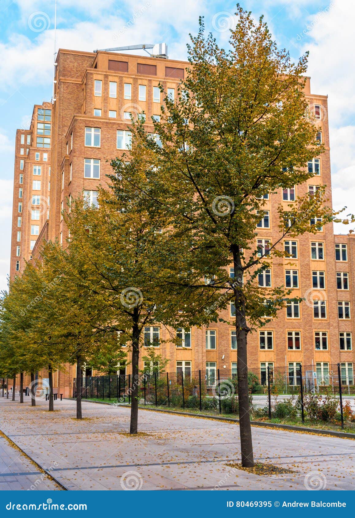 Trees Lining a Street in the Hague Editorial Image - Image of absorb ...