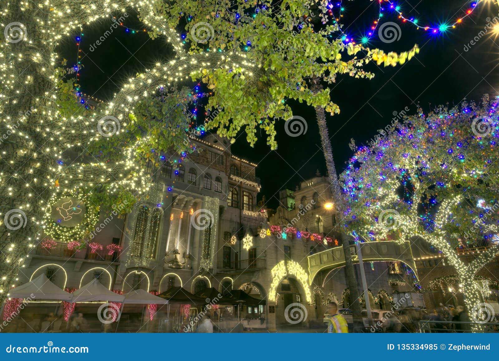 Trees Lit at Night editorial image. Image of chrismas - 135334985