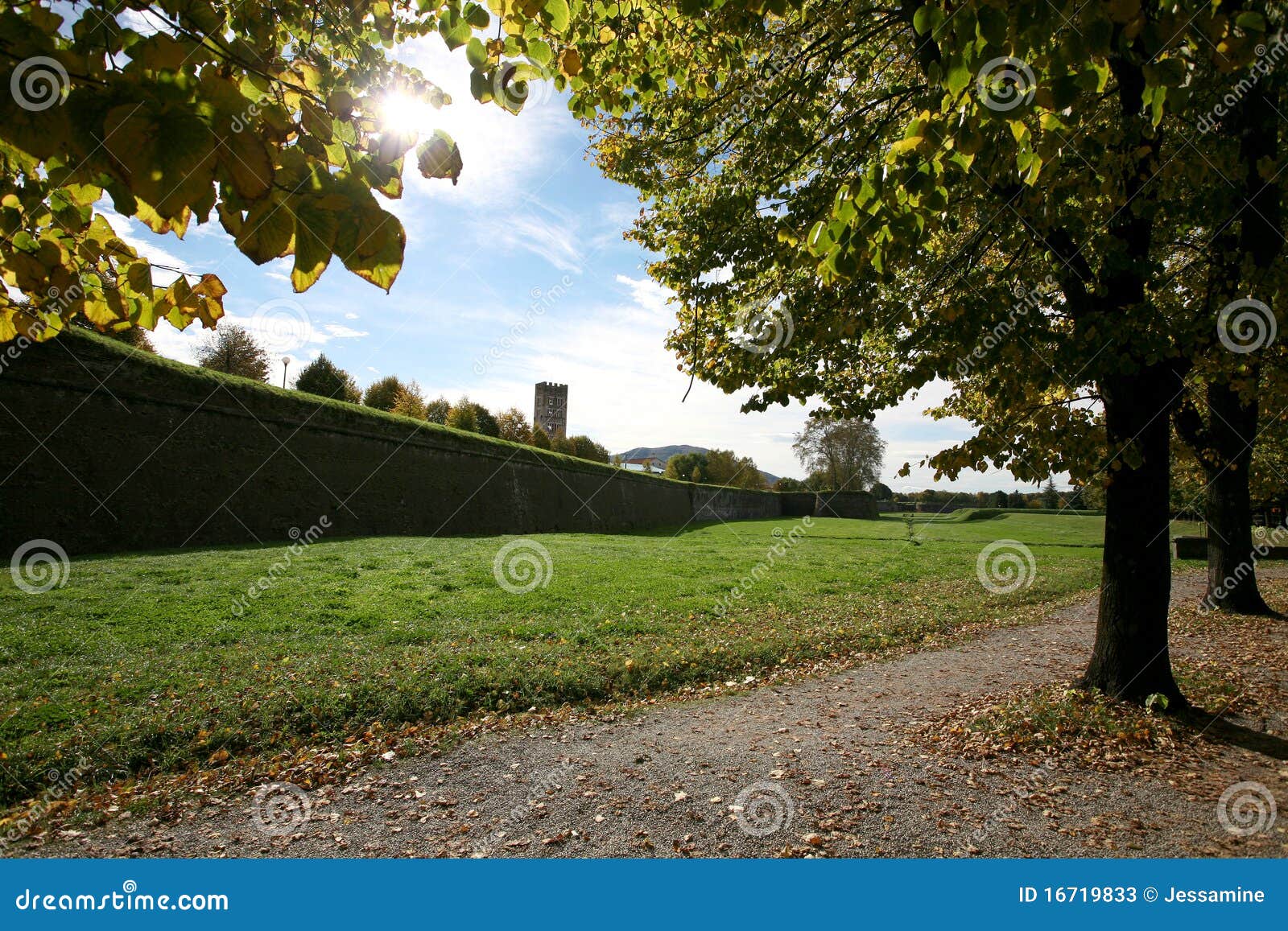 Trees in Lucca, Italy stock image. Image of italy, leaf - 16719833