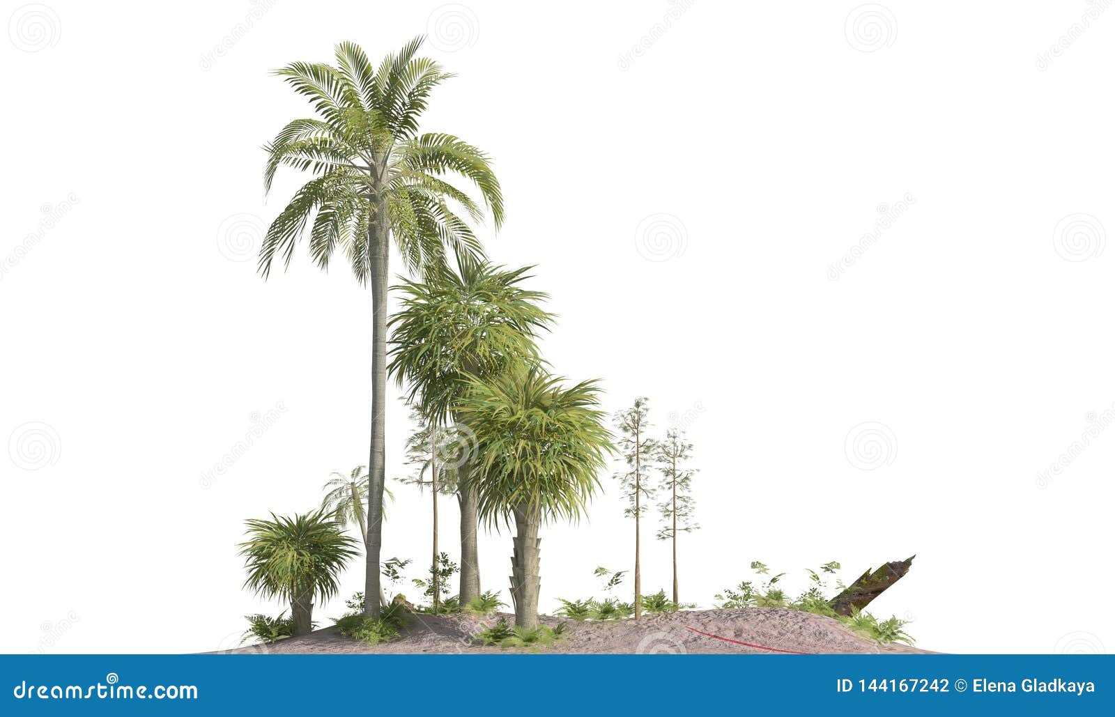Trees Of The Mesozoic Era Isolated On White Background 3D Illustration ...
