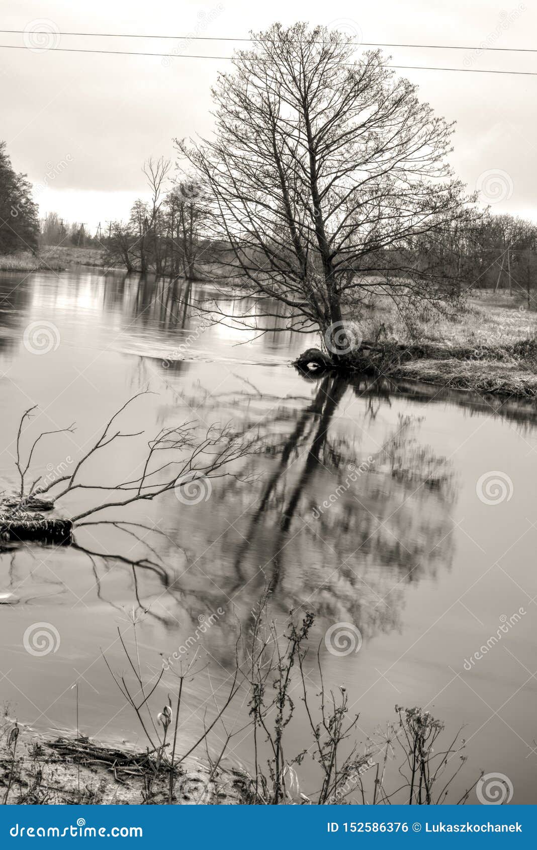 Trees Mirrored in Water - Flowing River Landscape in Black and White ...