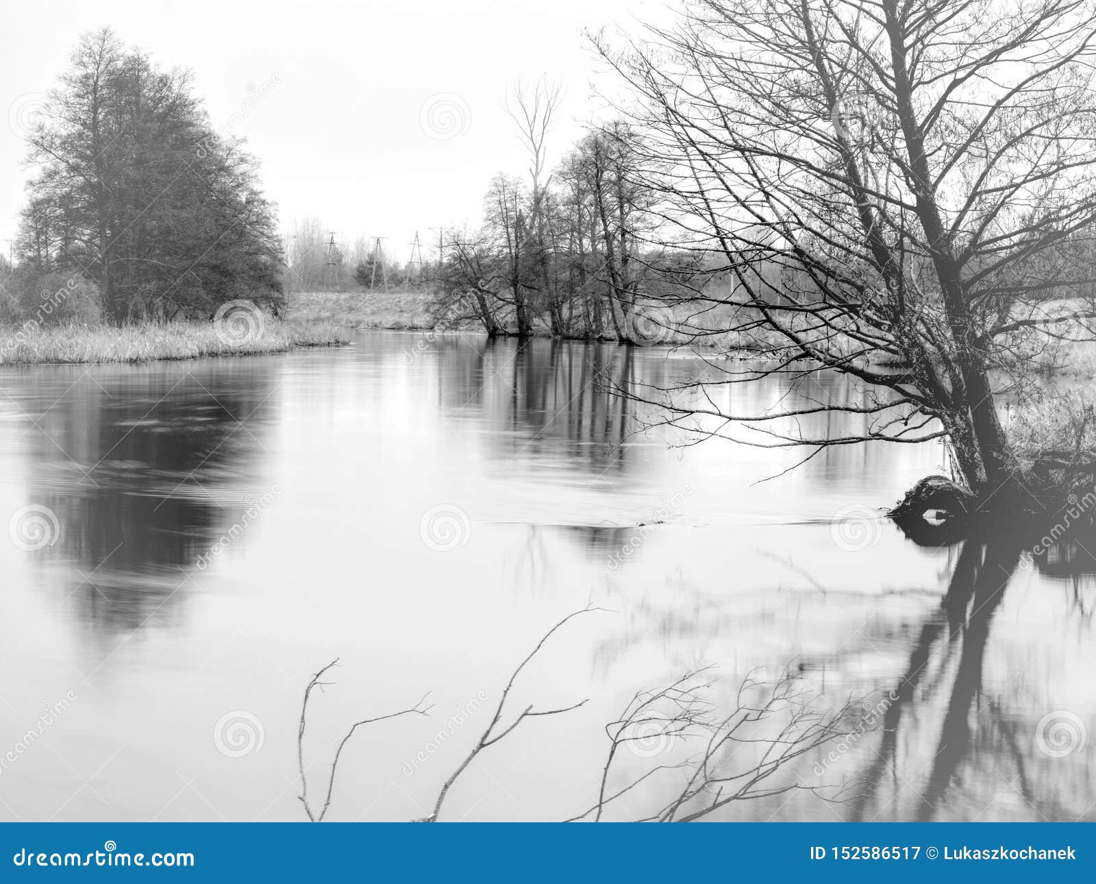 Trees Mirrored in Water - Flowing River Landscape in Black and White ...