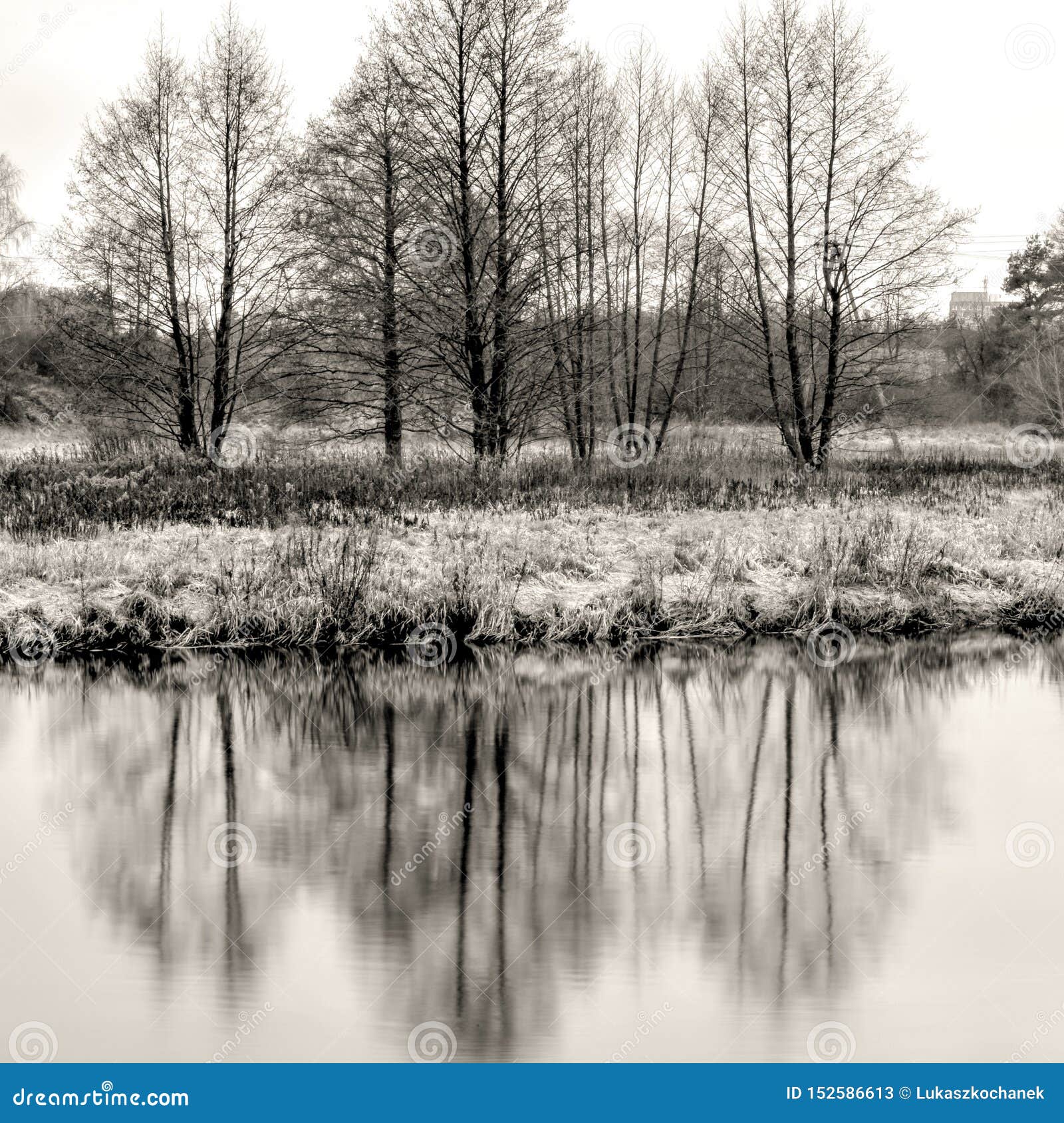 Trees Mirrored in Water - Flowing River Landscape in Black and White ...