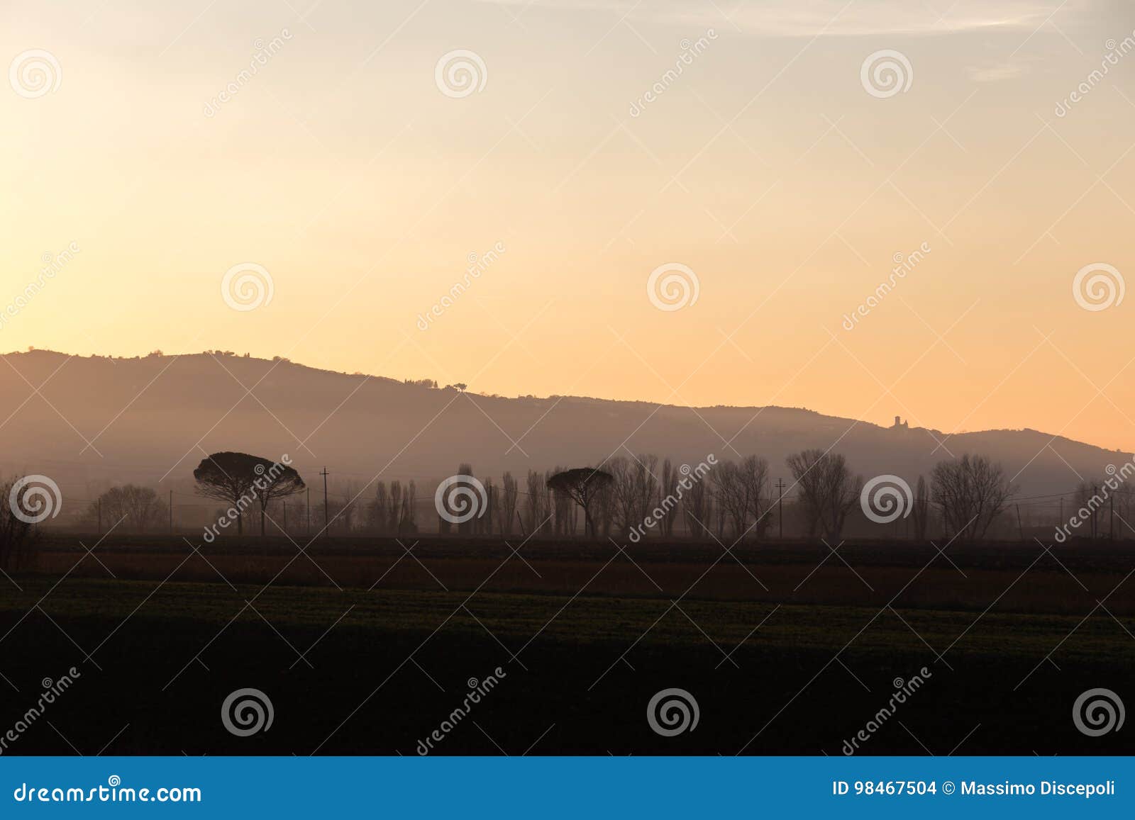 Trees, mist and sunset stock photo. Image of light, mountains - 98467504