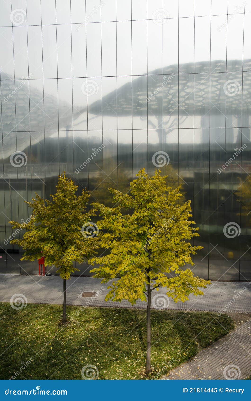 Trees modern architecture stock image. Image of windows - 21814445