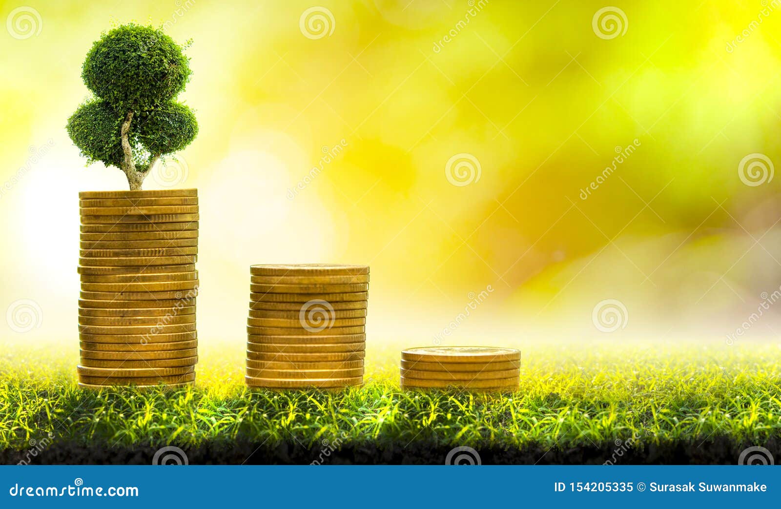 Trees with Money, Saving Money and Growing Hands Stock Image - Image of ...