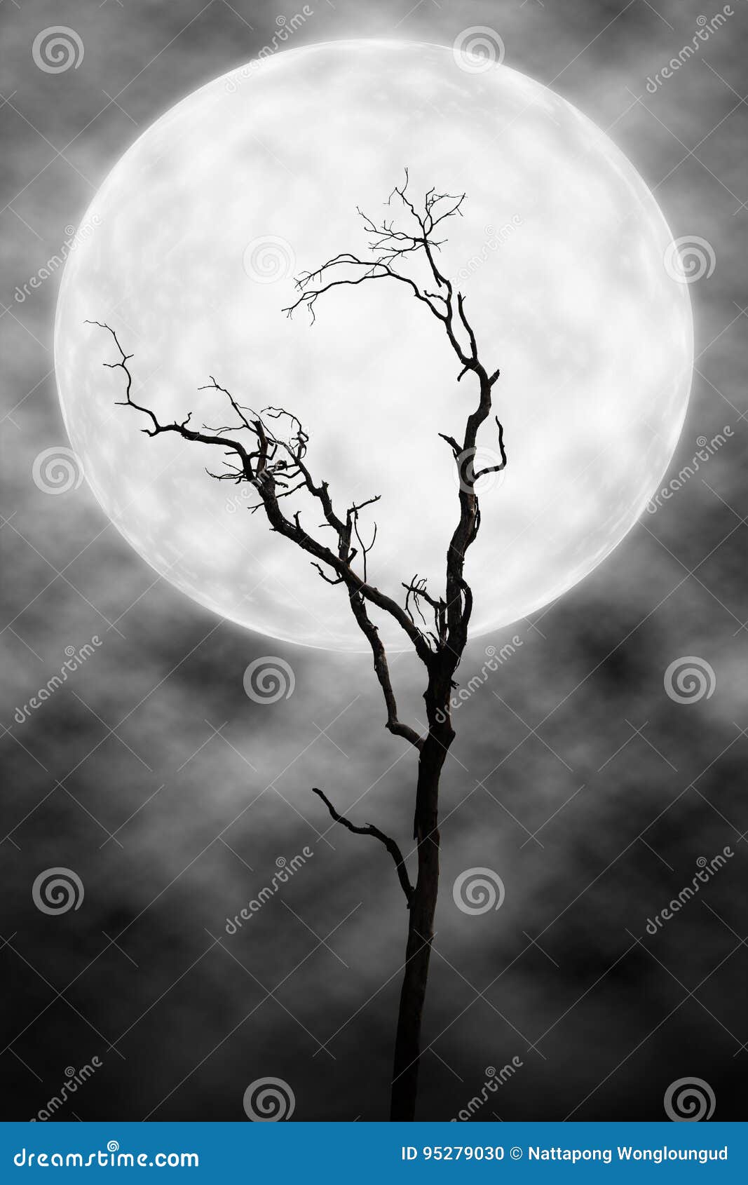 Trees and Moon Scary Night. Stock Photo - Image of close, moon: 95279030