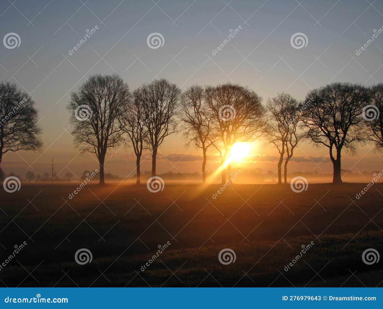 Trees Morning Sun Orange Blue Stock Image - Image of morning, orange ...