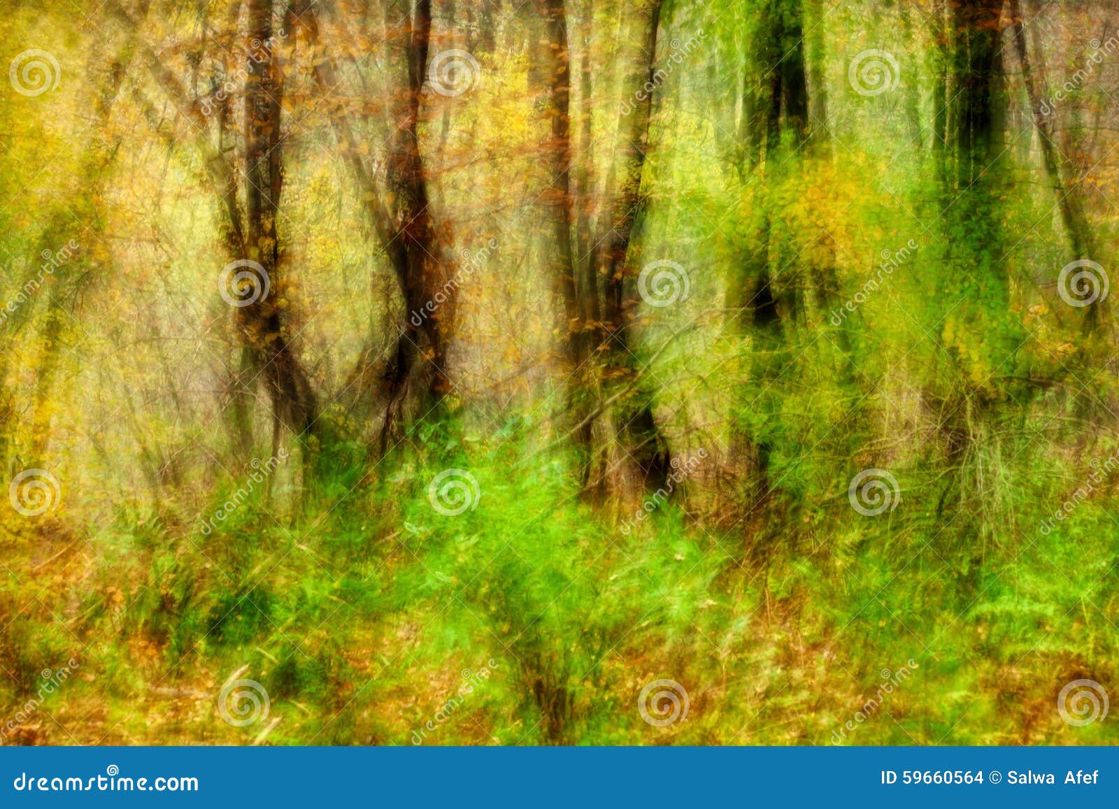 Trees Motion stock photo. Image of movement, park, abstract - 59660564