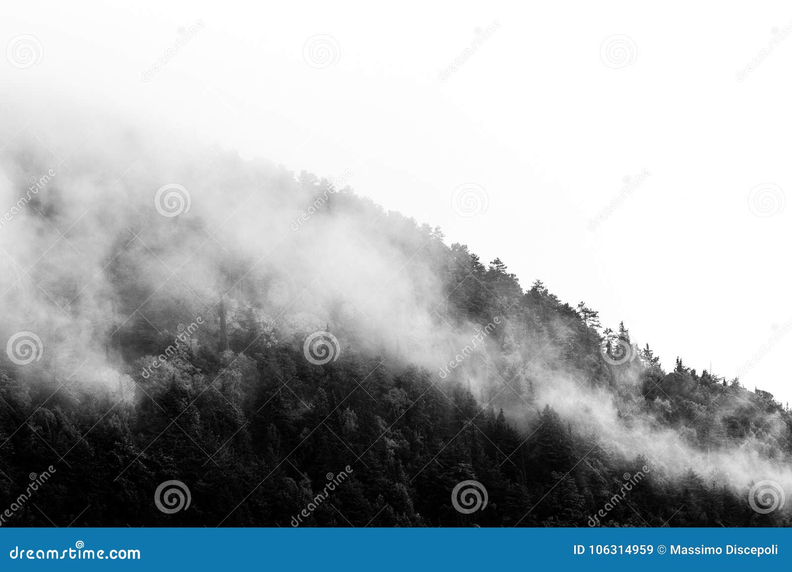 Trees on a Mountain Sidealmost Covered by Fog Stock Image - Image of ...