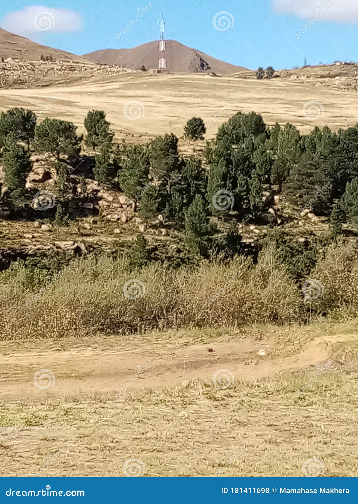 Trees on Mountain Kingdom of Lesotho Stock Photo - Image of lesotho ...