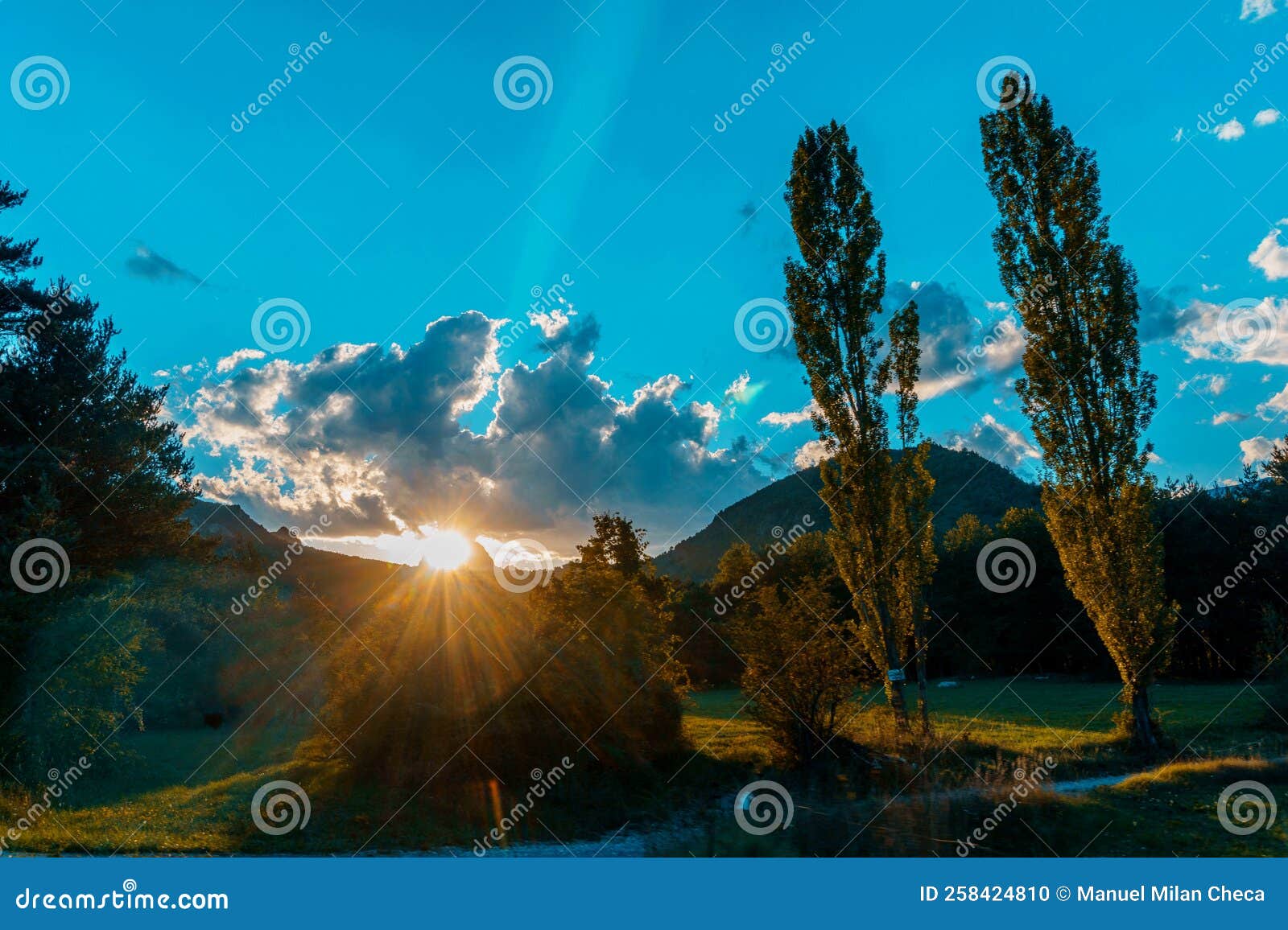 Trees on the Mountain at Sunset. Concept of Peace and Quiet Stock Photo ...
