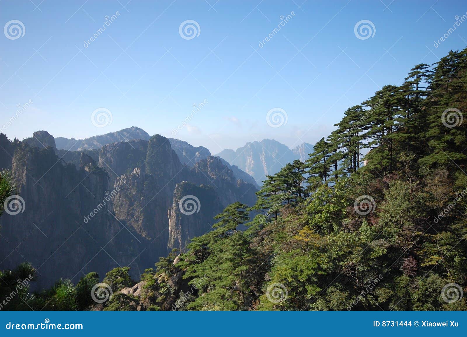 The Trees on the Mountain Top Stock Photo - Image of layers, travel ...