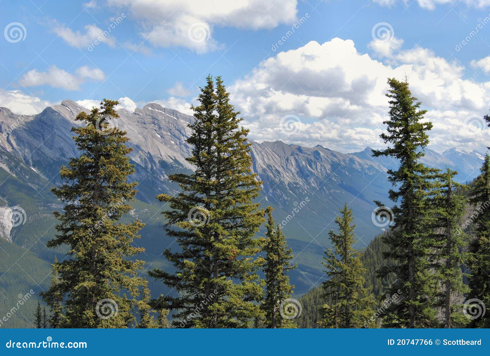 Trees and Mountains in Banff National Park Stock Photo - Image of sunny ...