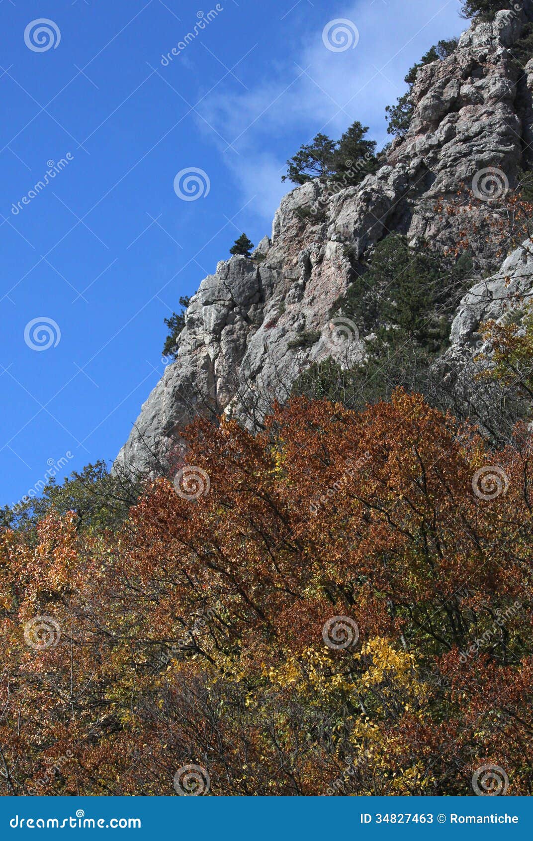Trees in mountains stock image. Image of mountains, autumnal - 34827463