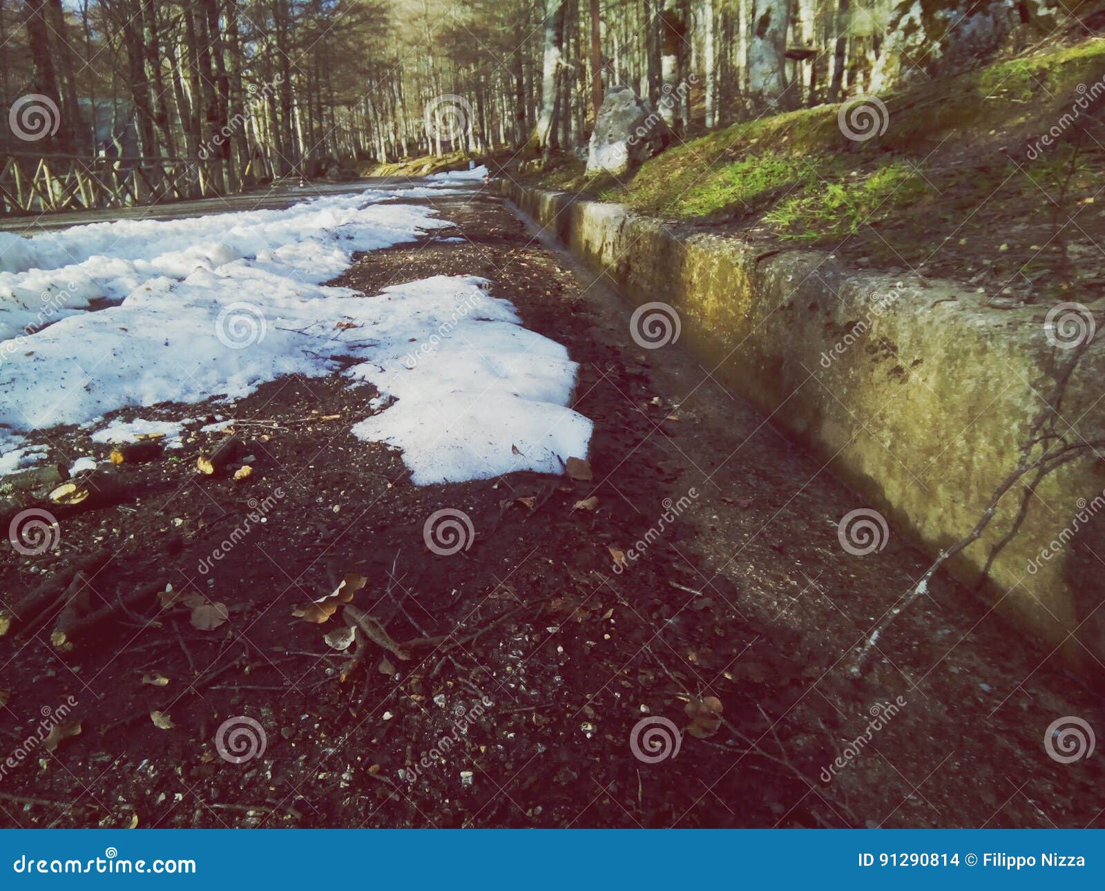 Trees, Mountains, Land and Nature a Step from Paradise Stock Photo ...