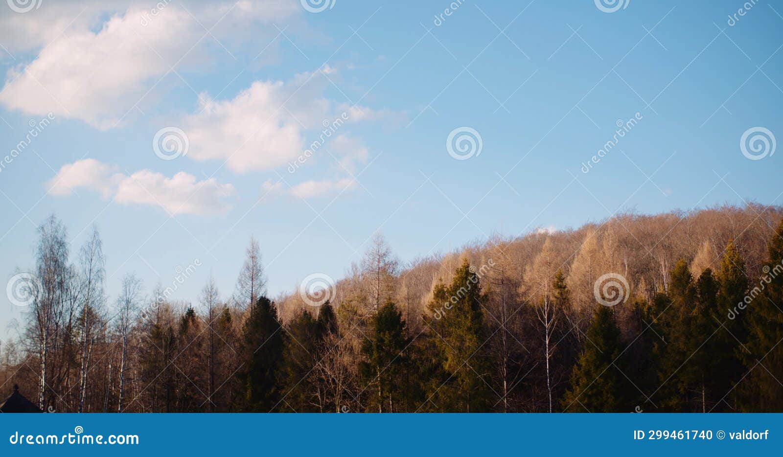 Trees Moving on Wind in Spring Stock Photo - Image of natural, garden ...