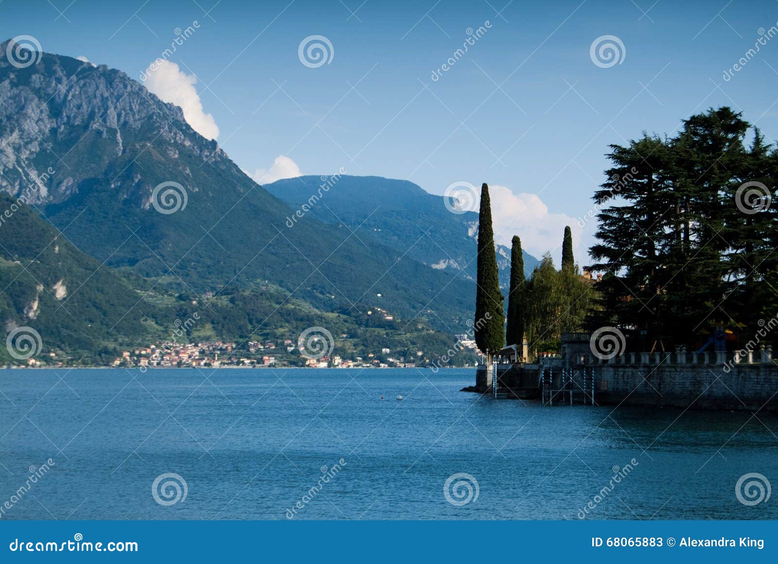 Trees Near Lake Como stock image. Image of travel, trees - 68065883