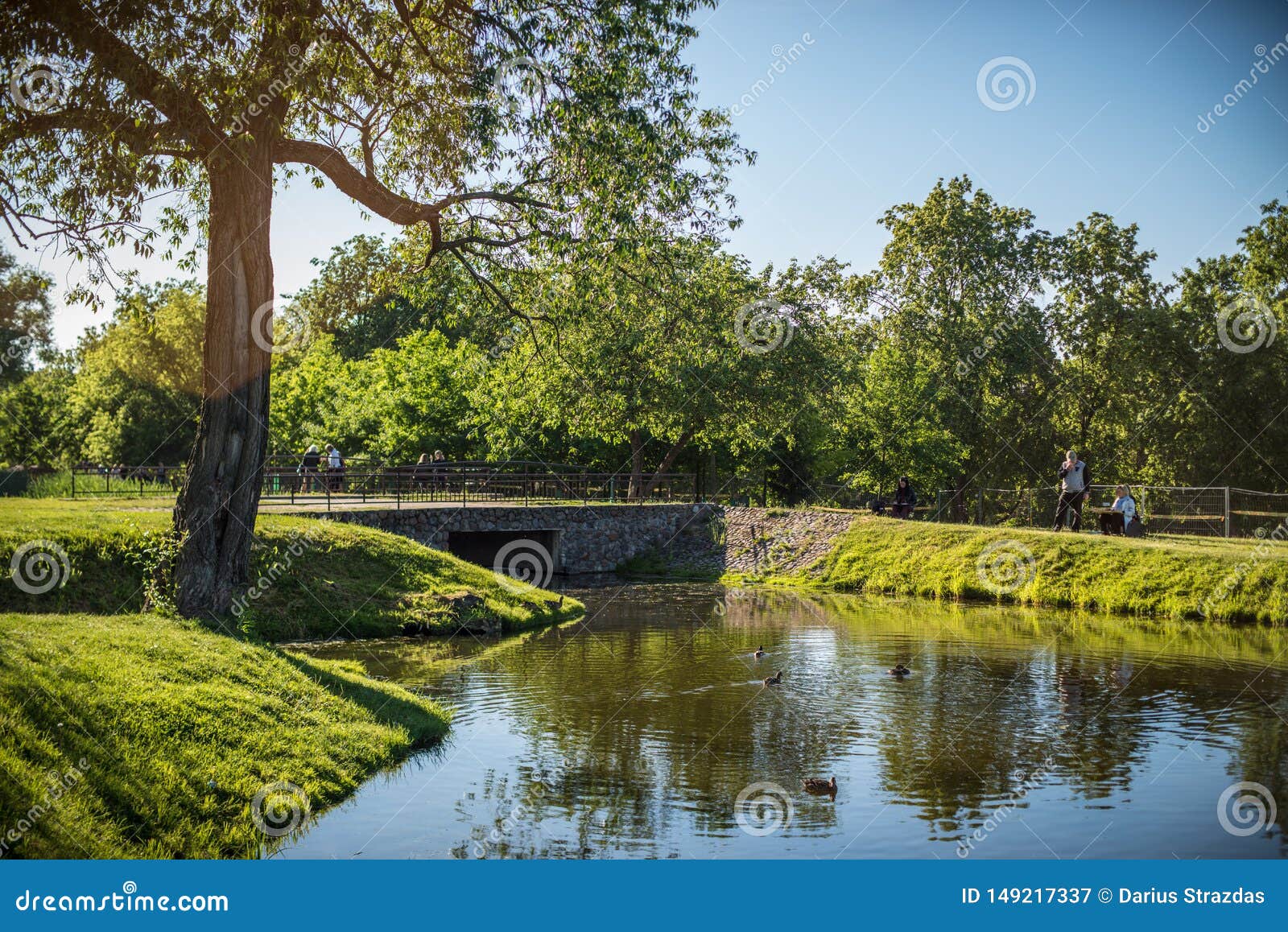 Lake Landscape, Sunny Spring Day Stock Image - Image of natural, beauty ...