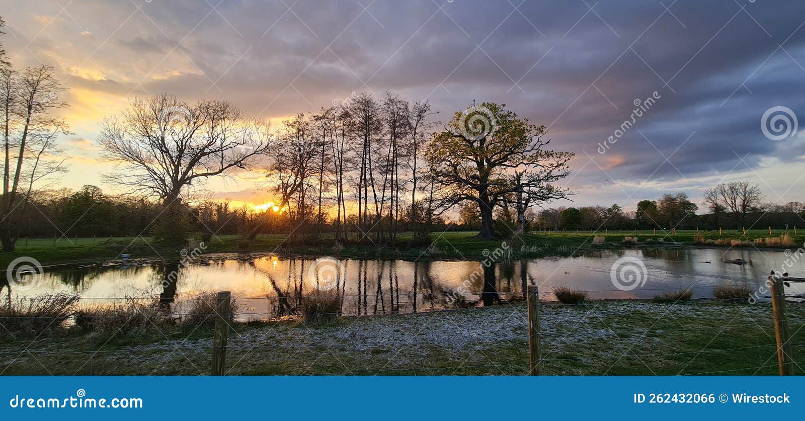 Trees Near a Lake with Sunset Sky on the Background Stock Photo - Image ...