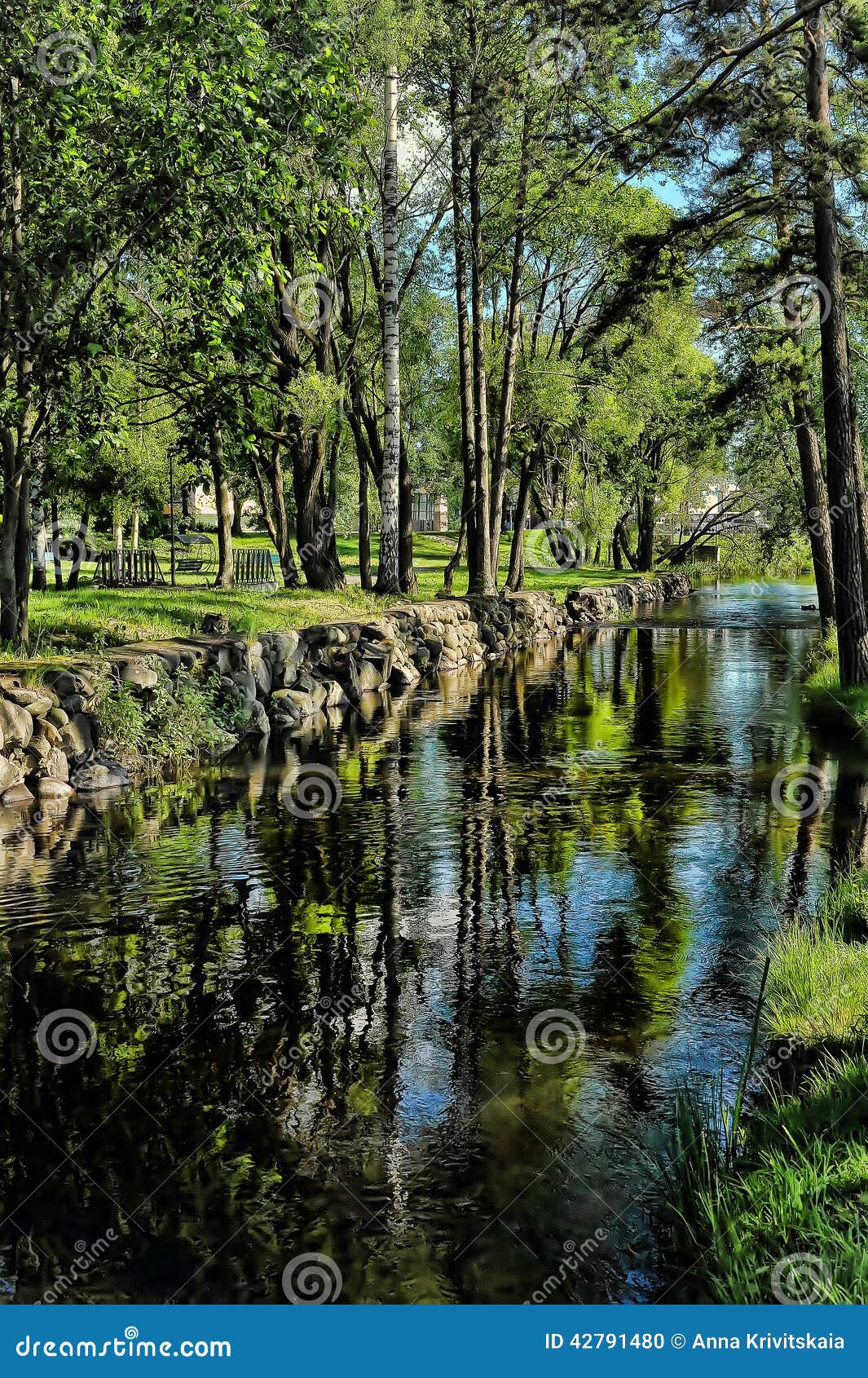 Trees near the pond stock photo. Image of colorful, coast - 42791480