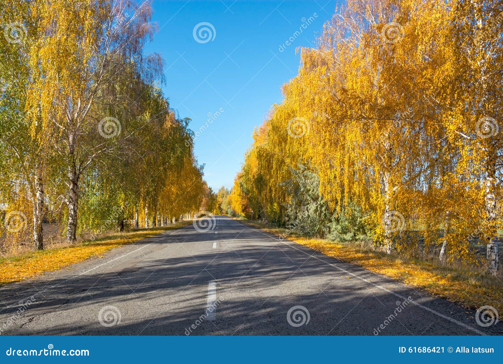 Trees Near the Road in the Autumn Stock Image - Image of scenics ...