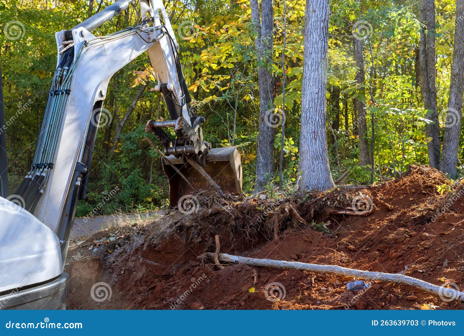 Trees Need To Be Uprooted and Land Needs To Be Prepared for ...