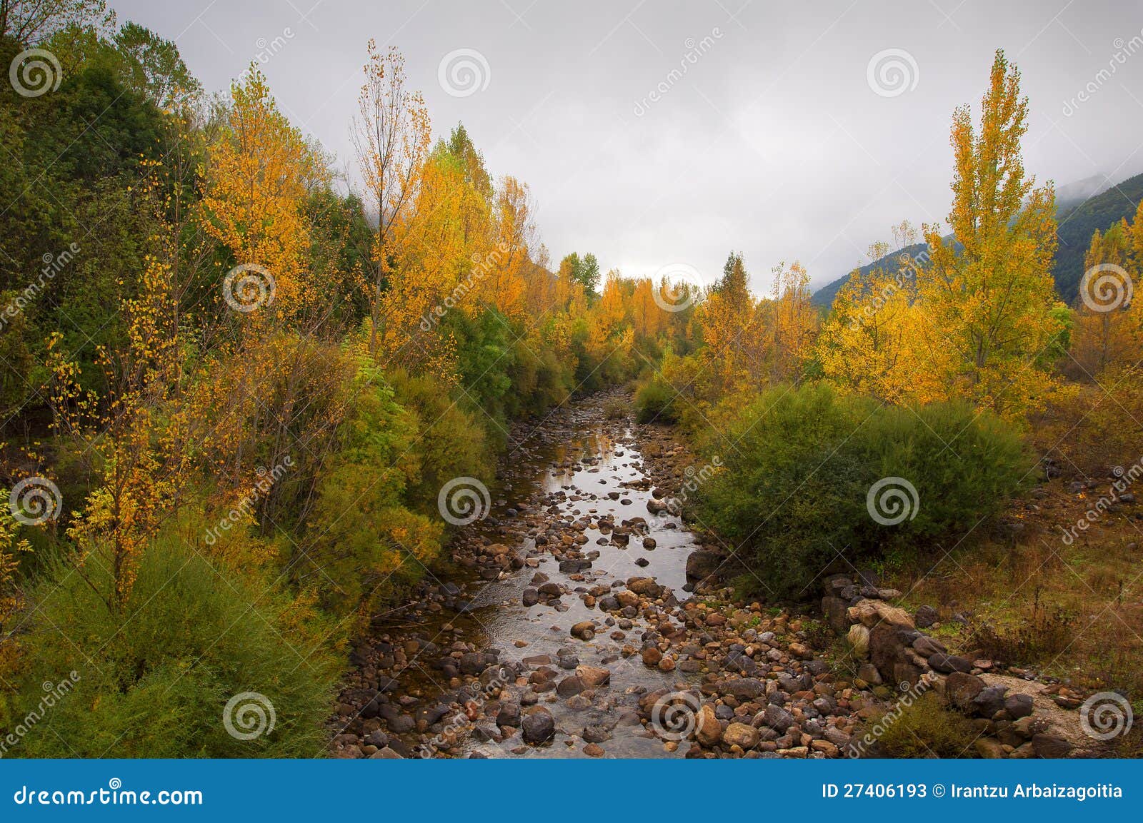 Trees Next To a River with Fall Colors Stock Image - Image of travel ...