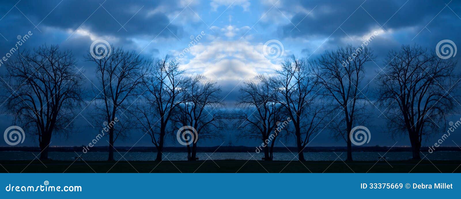Trees at nightfall stock image. Image of park, landscape - 33375669