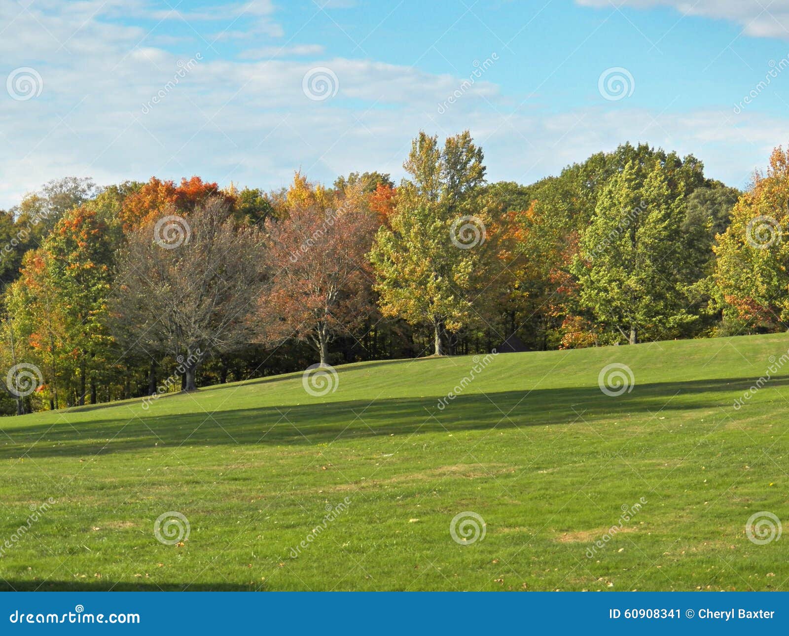 Trees in October stock image. Image of park, orange, fall - 60908341