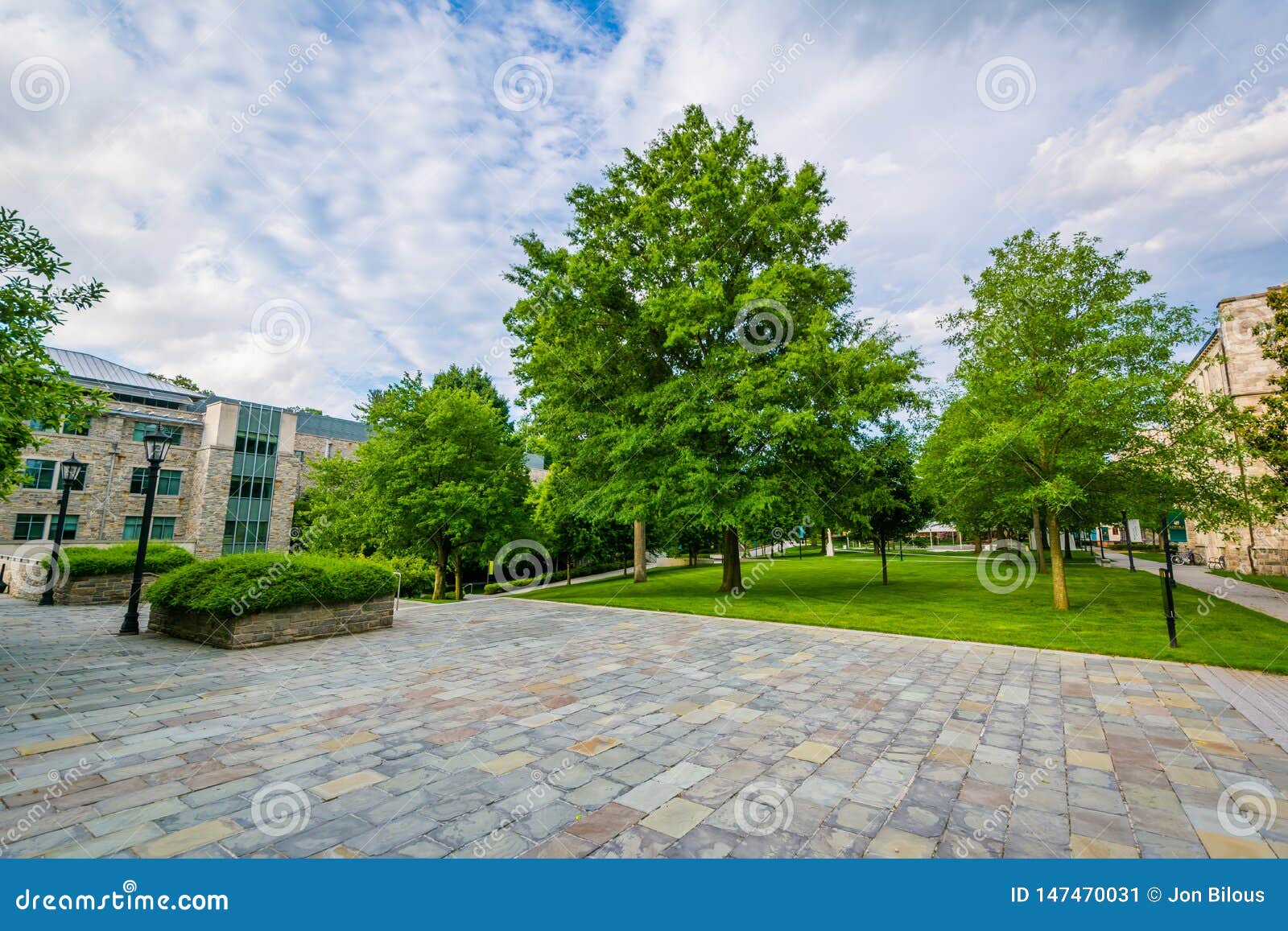 Trees and Open Space at Loyola University Maryland, in Baltimore ...