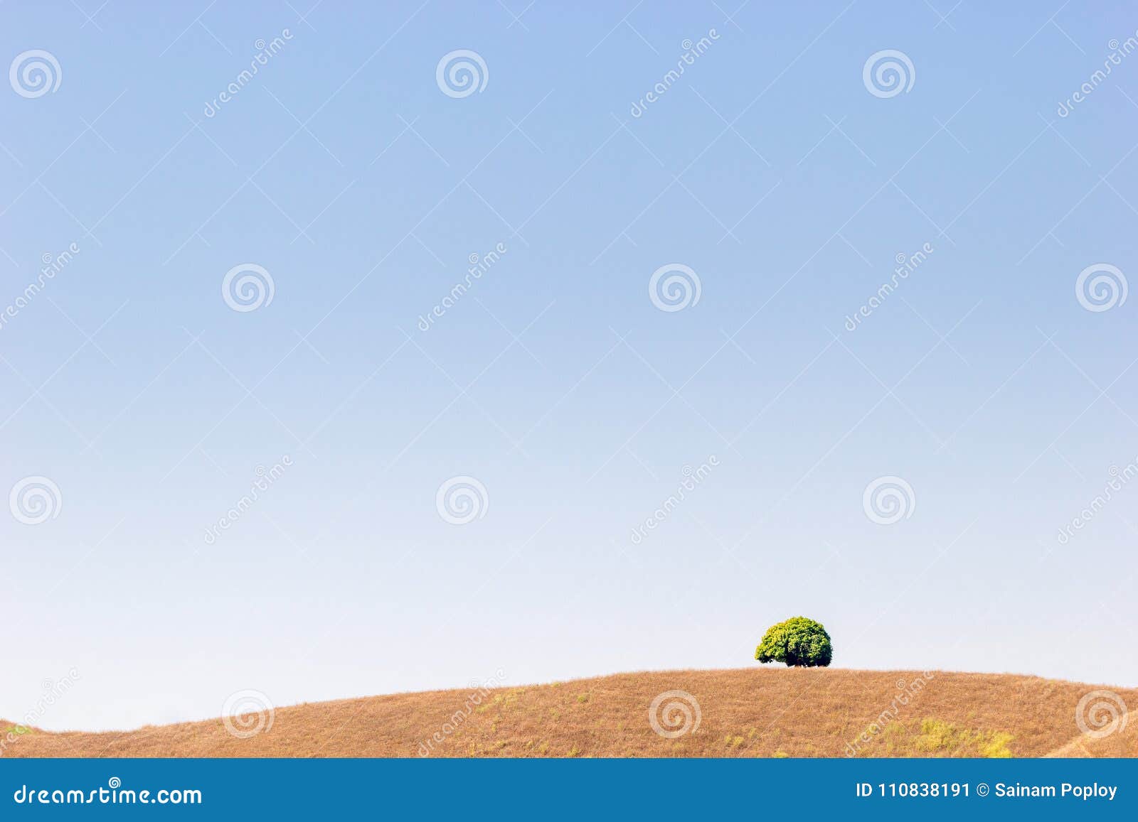 Trees in Open Space and the Sky. Stock Image - Image of yellow, travel ...