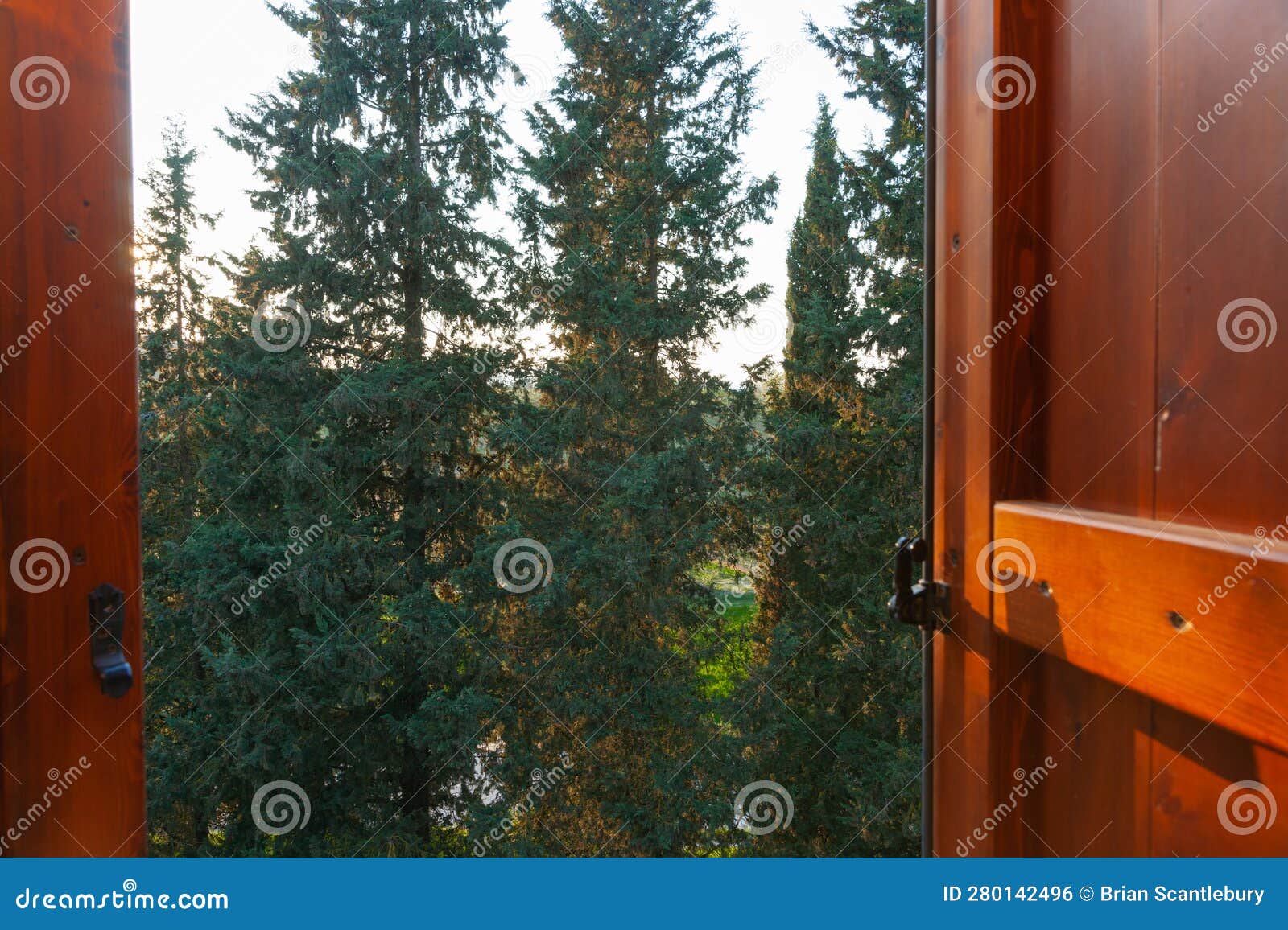 Trees through Open Wooden Window Stock Photo - Image of wooden, green ...