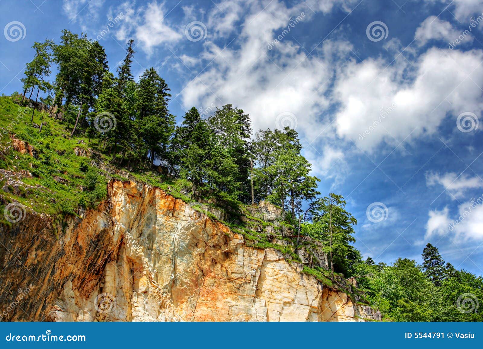 Trees over marble cliff stock image. Image of environment - 5544791