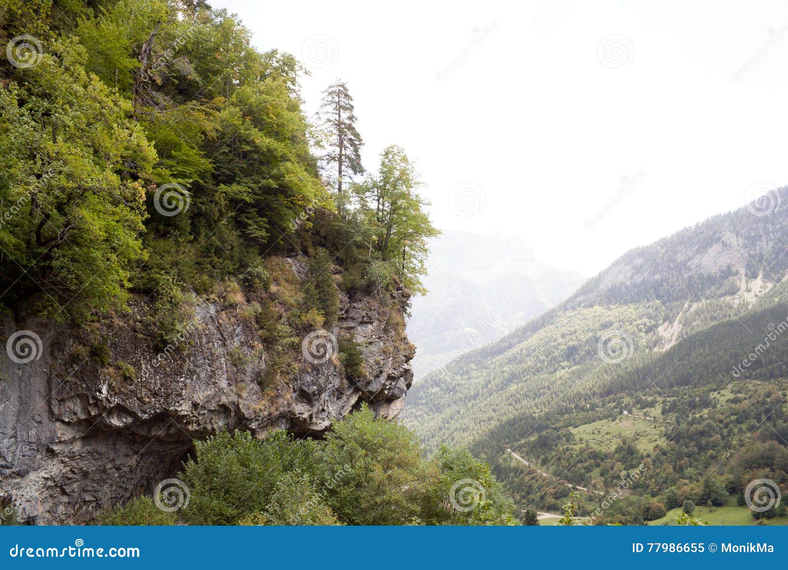 Trees Over a Rock in the Precipice of Valley Stock Image - Image of ...