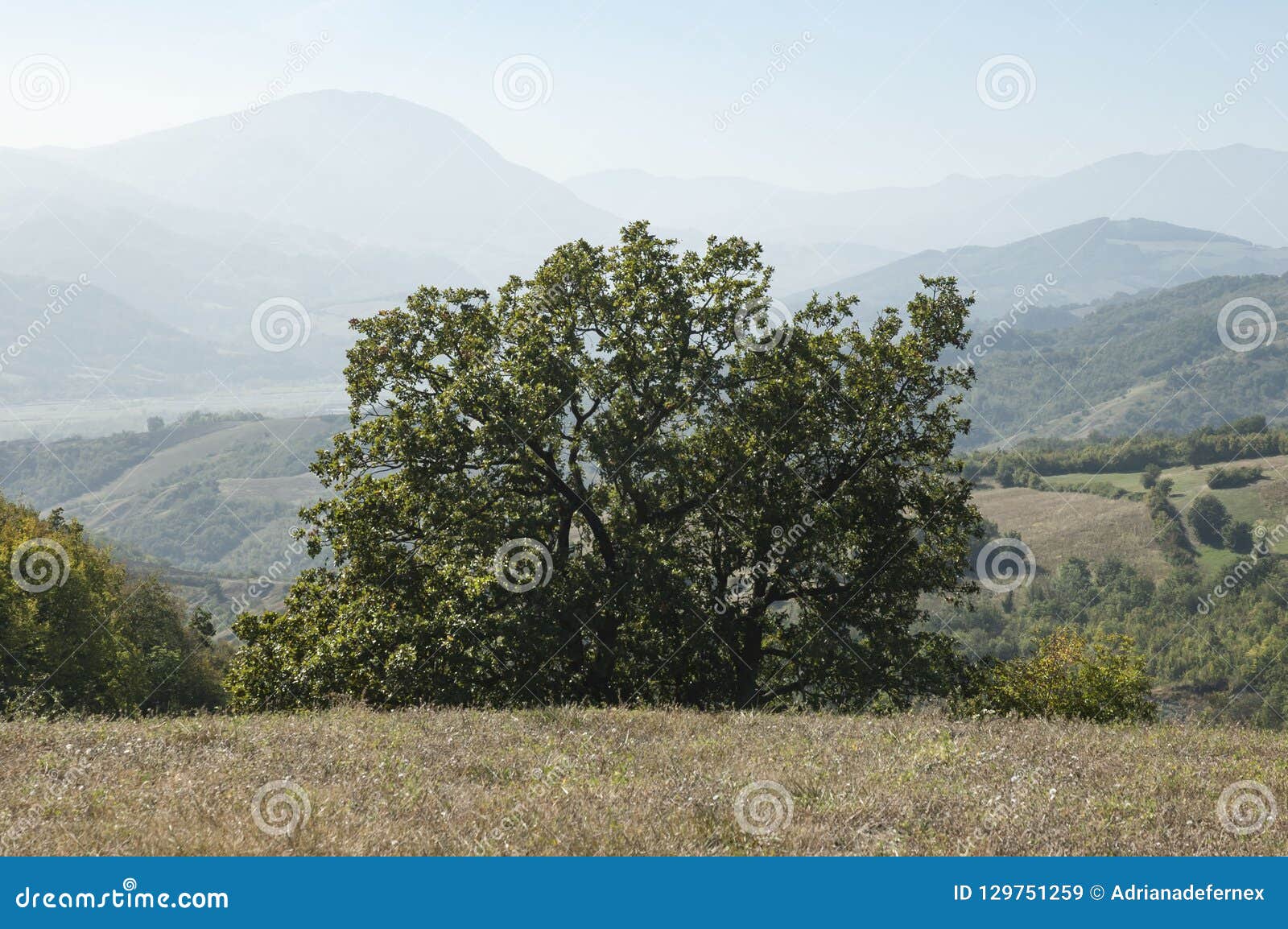Trees Overlooking the Valley Stock Image - Image of hermitage, rural ...