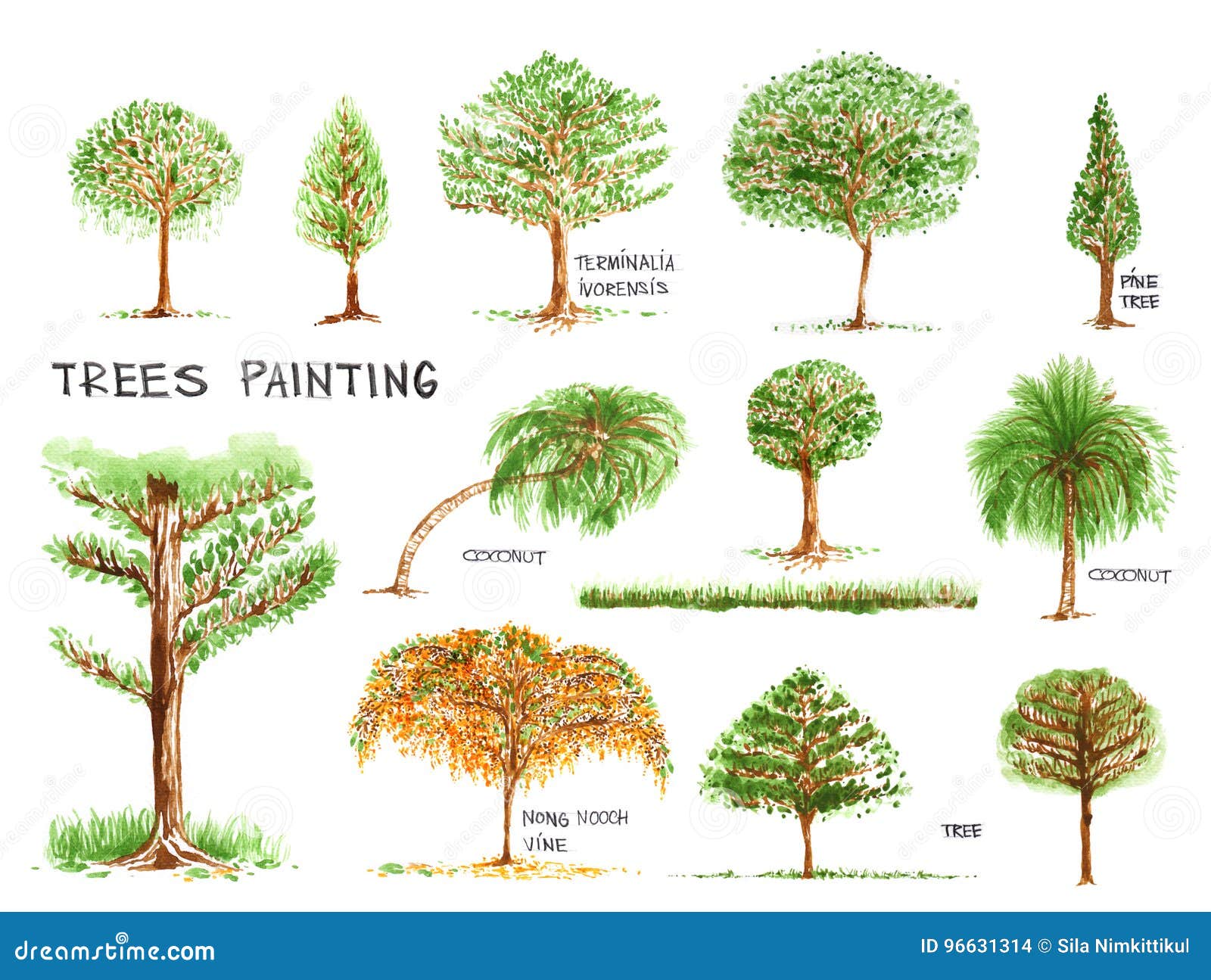 Trees Painting Isolate on White Background Stock Illustration ...