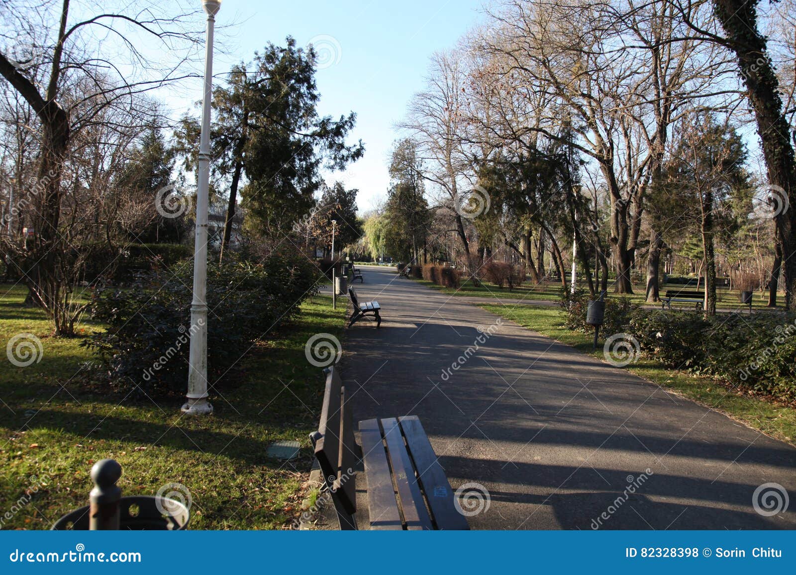 Trees in a parc stock photo. Image of autumn, parc, bazilescu - 82328398