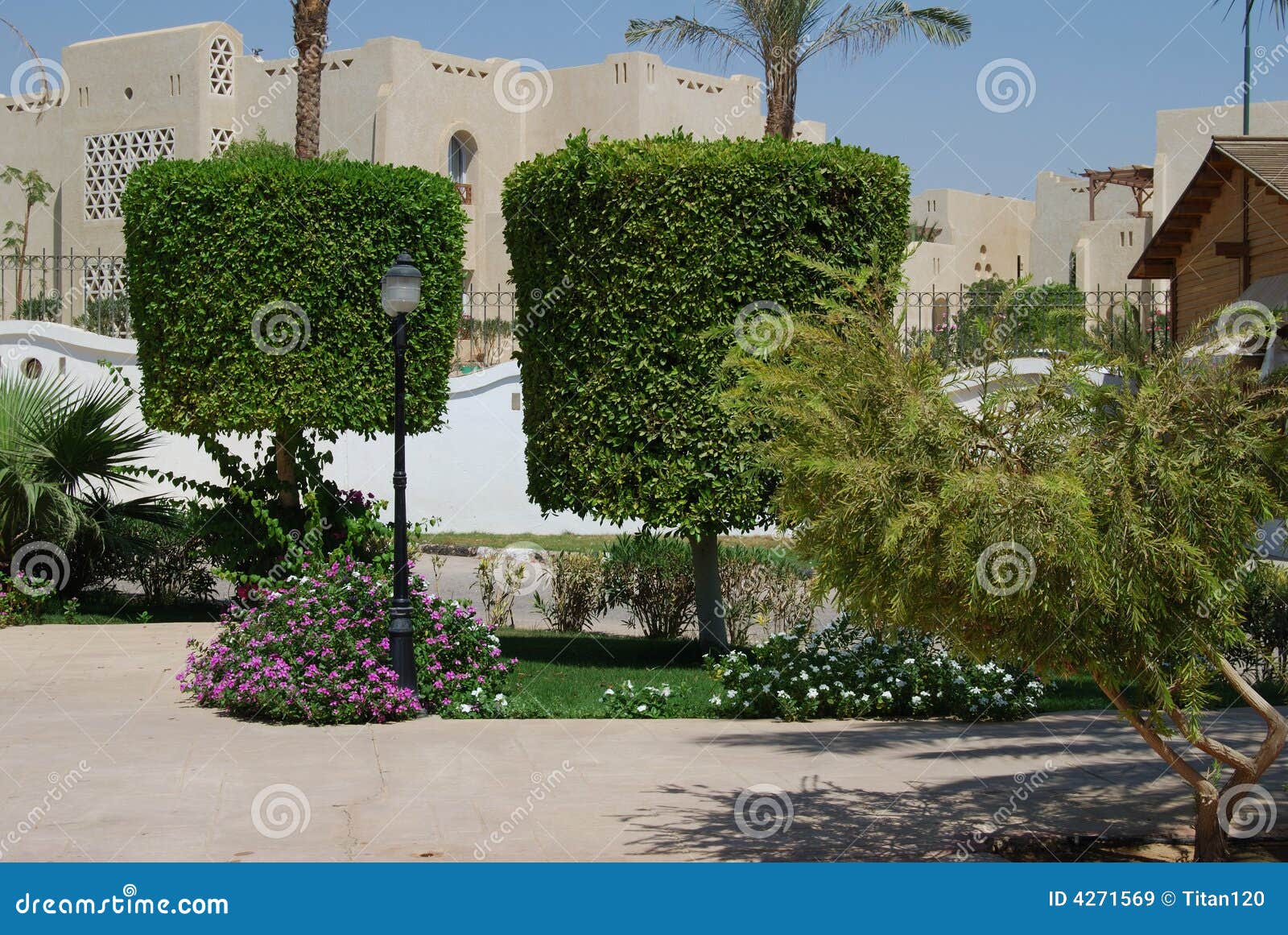 Trees In A Park As Cylinders Picture. Image: 4271569