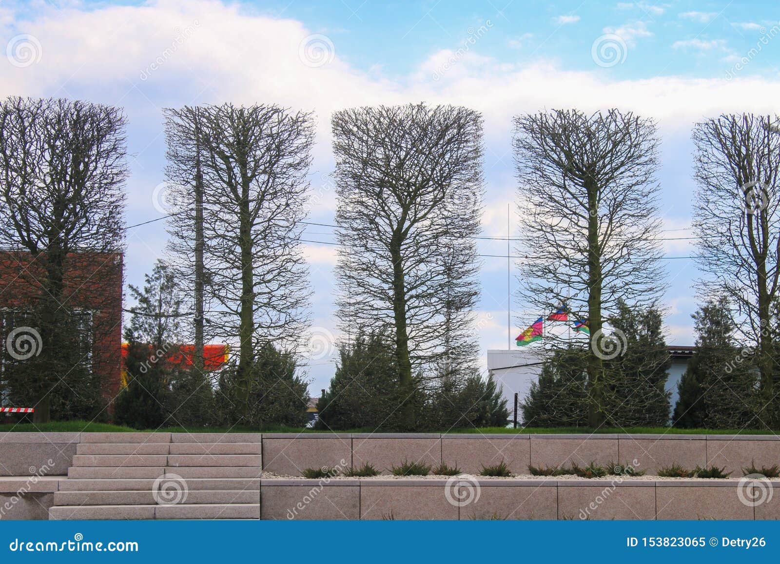 Trees in the Park on the Background Blue Sky Trimmed in the Shape of a ...