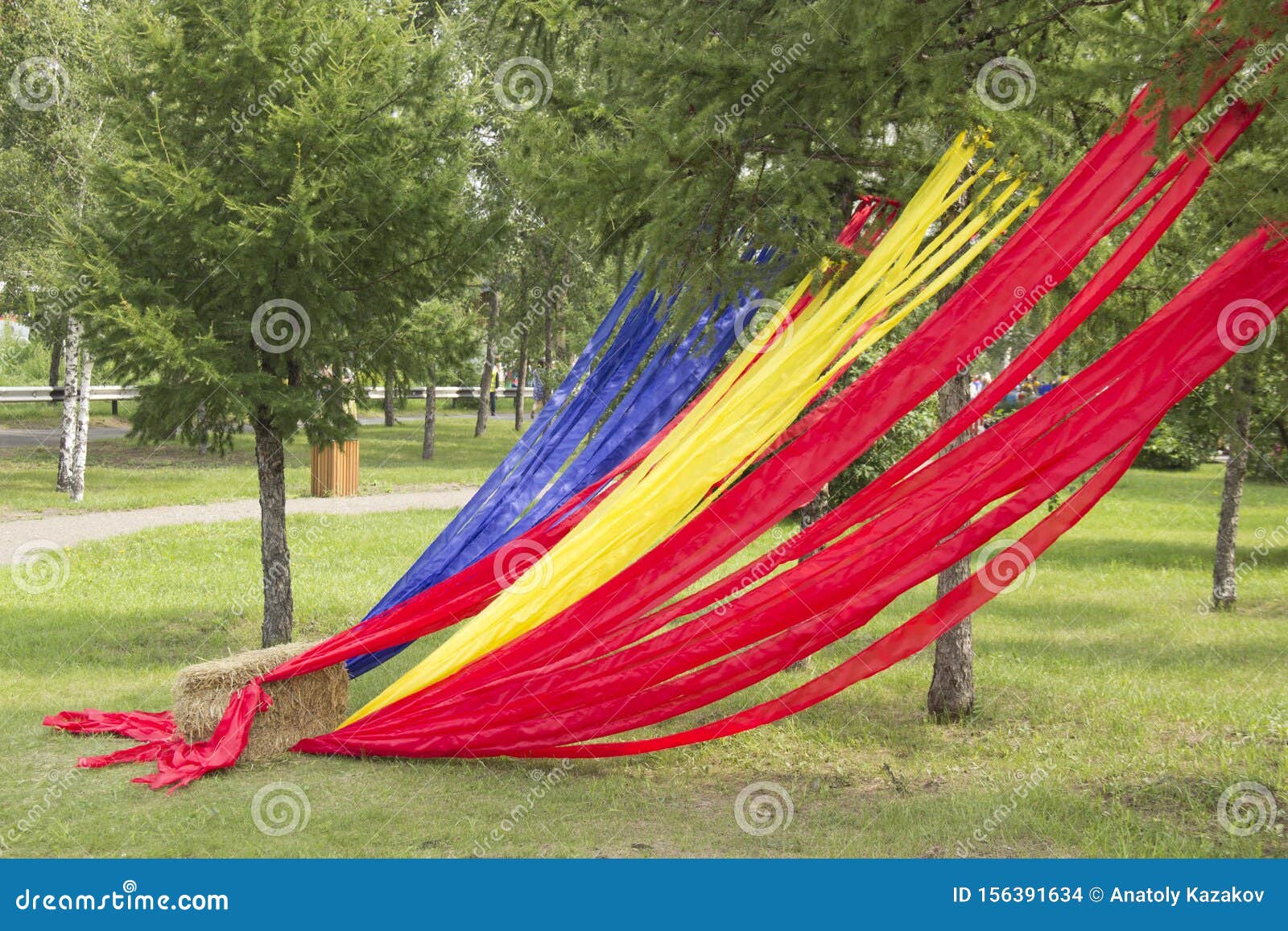 Trees in the Park are Decorated with Colored Ribbons Stock Photo ...