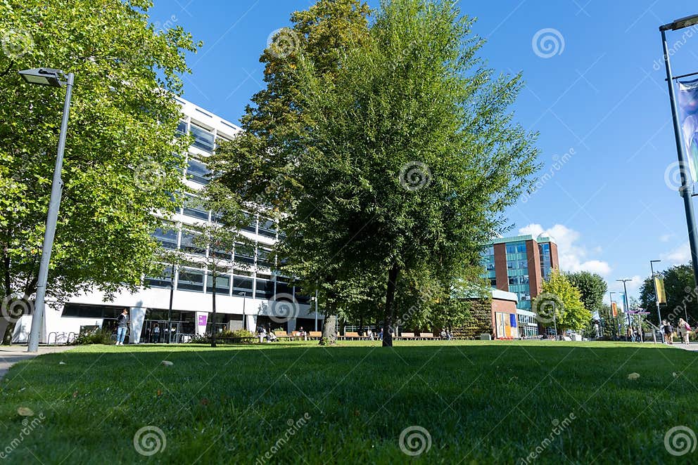 Trees in a Park in Manchester Editorial Stock Image - Image of tree ...