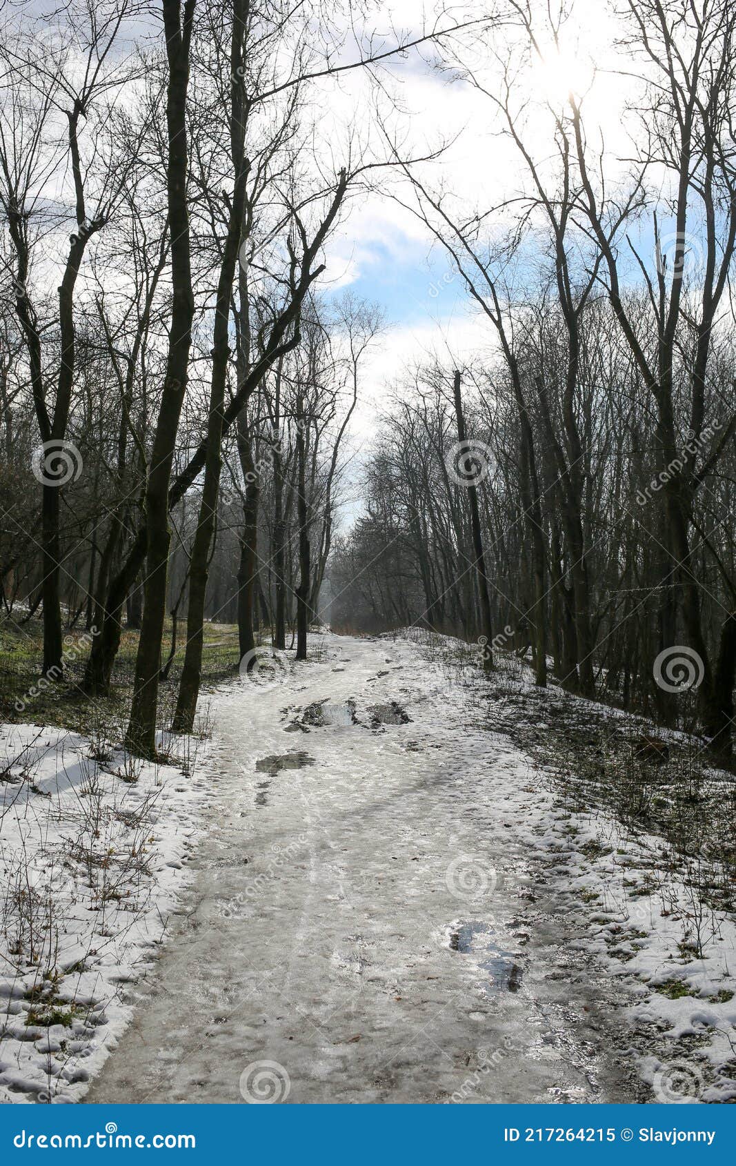 Trees in the Park. Spring Snow Last Winter Stock Image - Image of ...