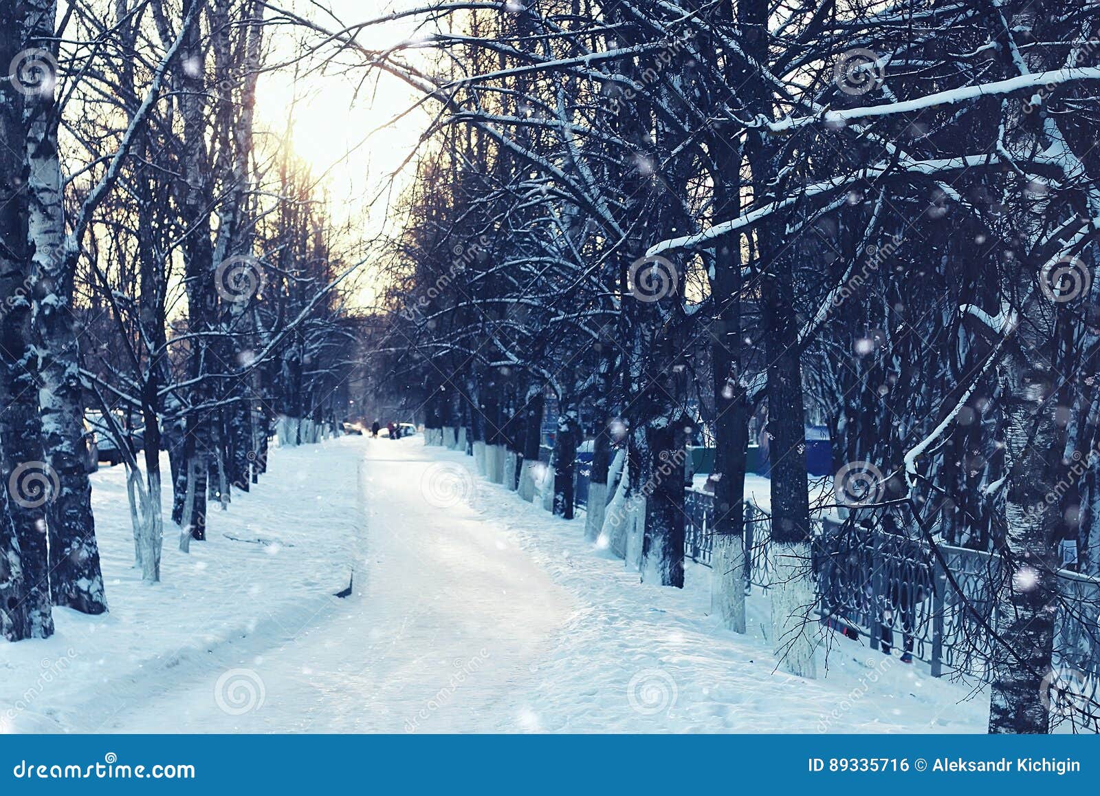 Trees pathway winter stock photo. Image of mall, frost - 89335716