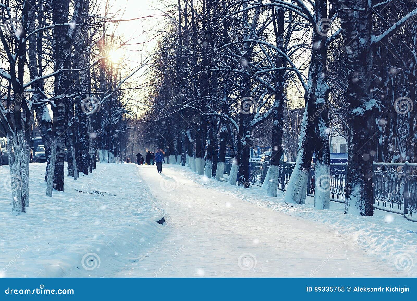 Trees pathway winter stock image. Image of empty, background - 89335765