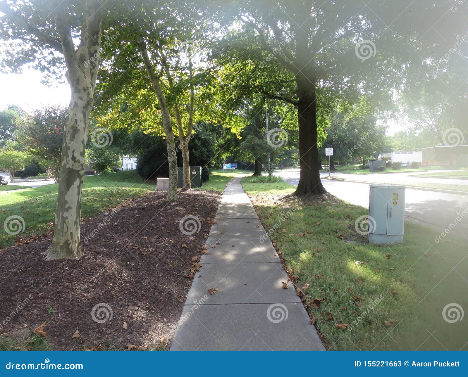 Trees and Pathways stock image. Image of pathway, outside - 155221663