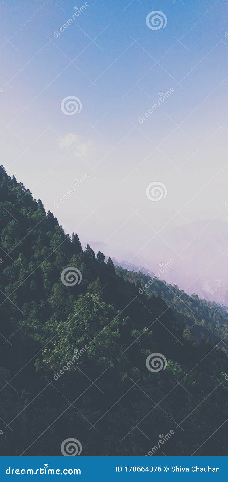 Trees & Peace on Mountain Stock Photo - Image of everest, trees: 178664376