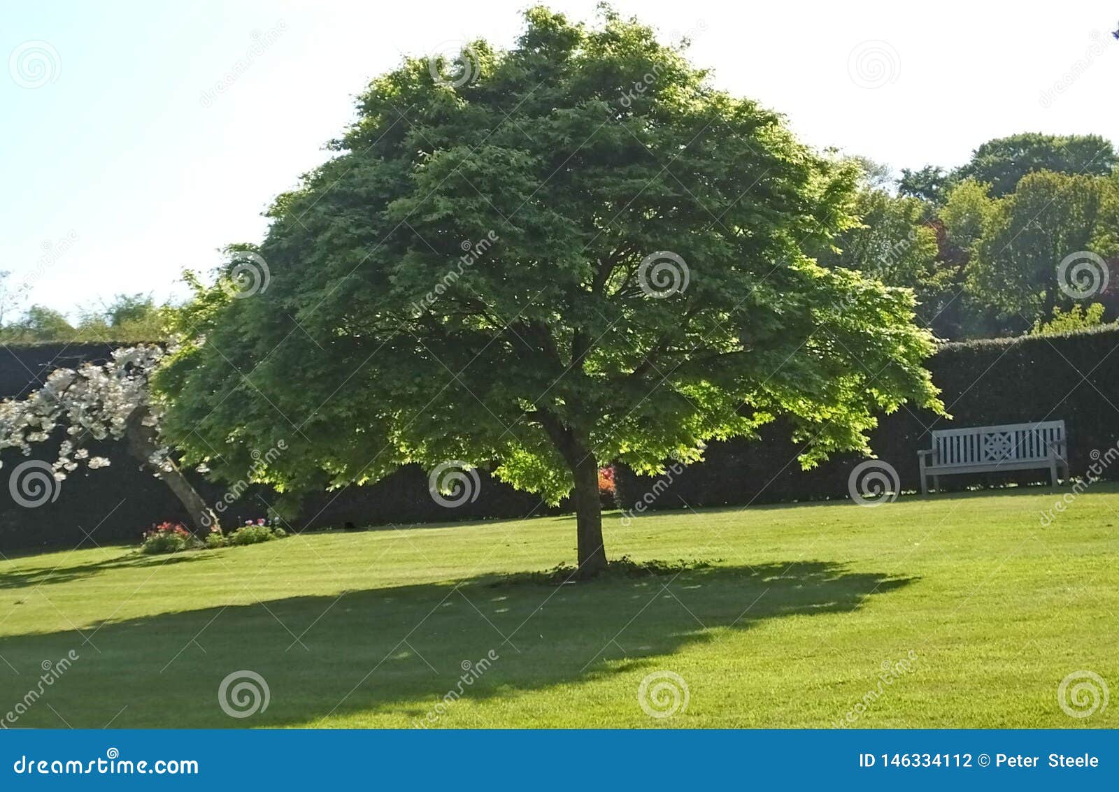 Lawn and Trees in Co Antrim Northern Ireland Stock Photo - Image of ...