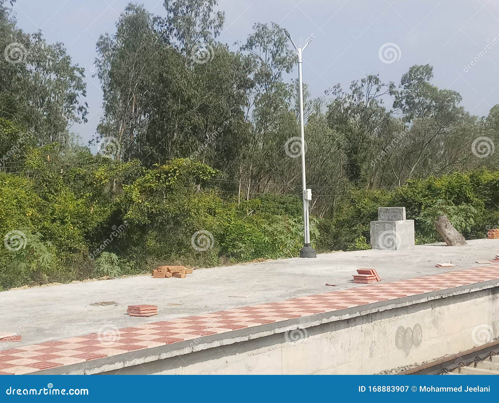 Trees, Platform, Tracks, Pole, Wires Stock Image - Image of tracks ...